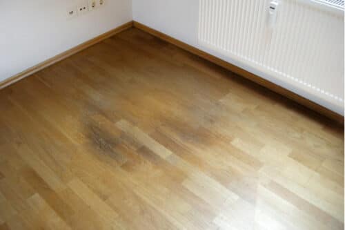 Sol humide : Quelles sont les causes et les solutions